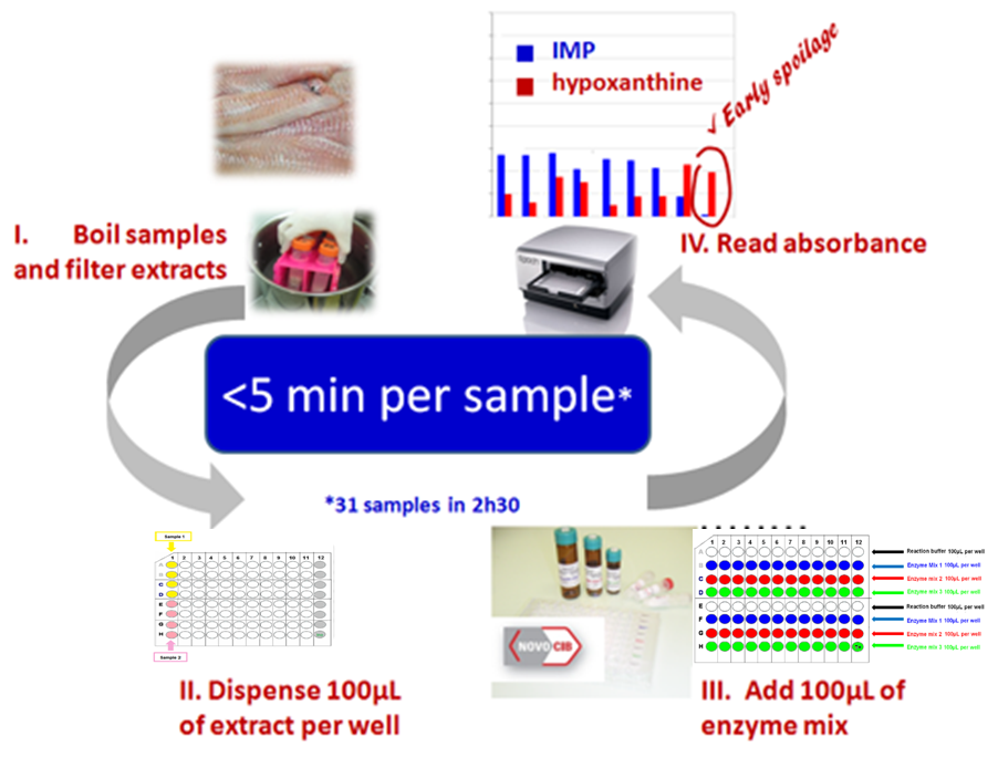 Seafood Quality Control - Seafood Freshness Assay Kit - Fish Freshness ...