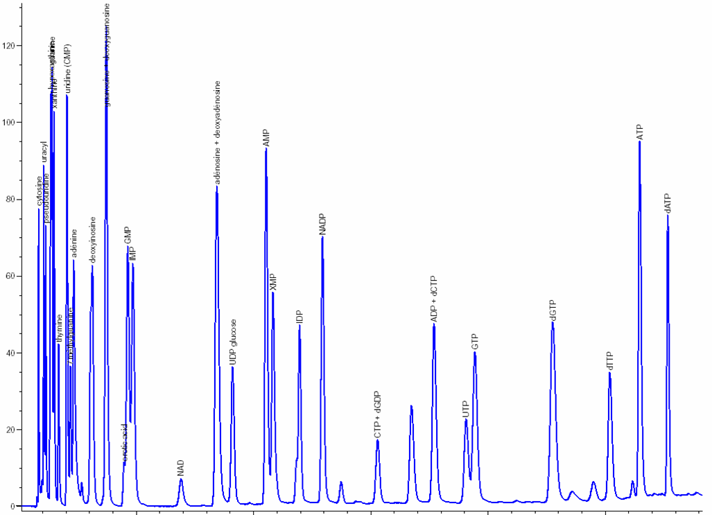 Cellular Nucleotides Analysis